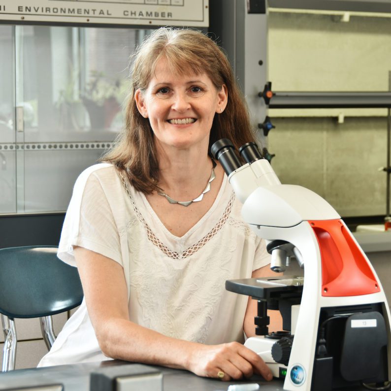 Faculty | St. Thomas Aquinas College