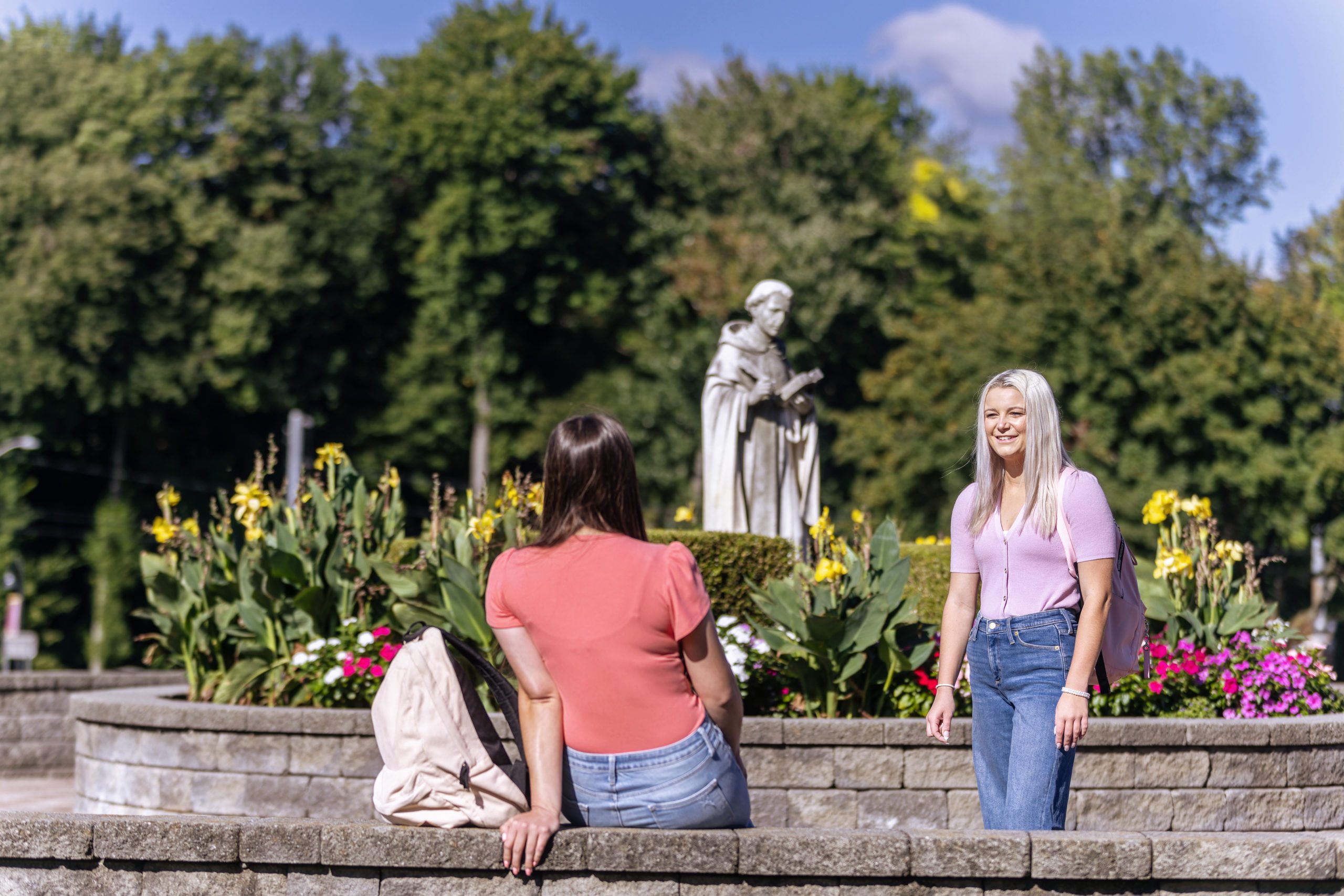 Graduate Admissions | St. Thomas Aquinas College